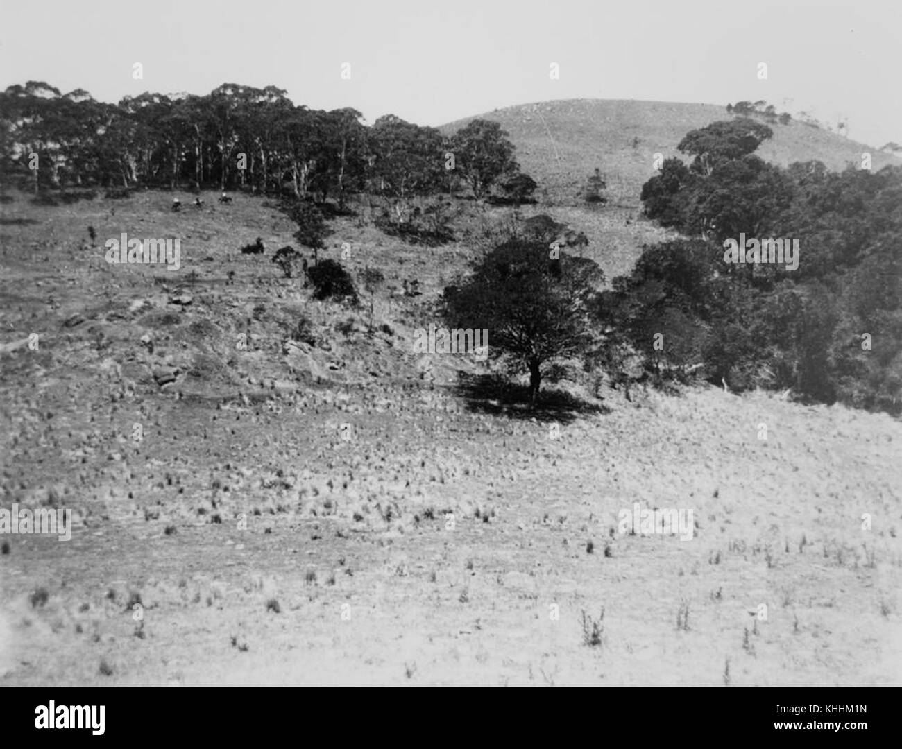 Mount allan Black and White Stock Photos & Images - Alamy