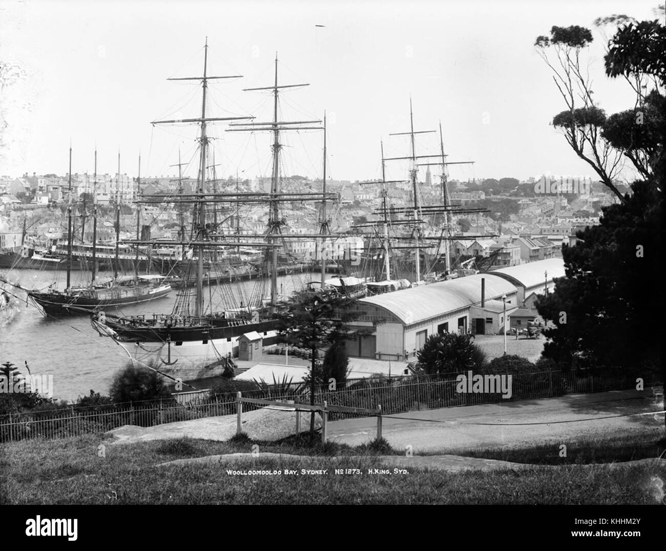 Woolloomooloo Bay, Sydney, 1900 Stock Photo - Alamy