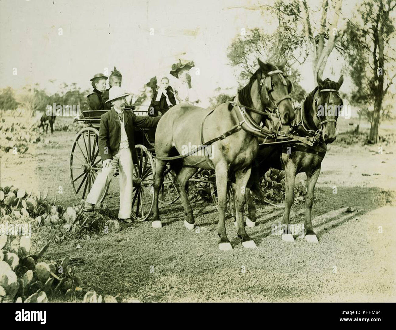 2 257668 Trackson family's drive in the wagonette Stock Photo - Alamy