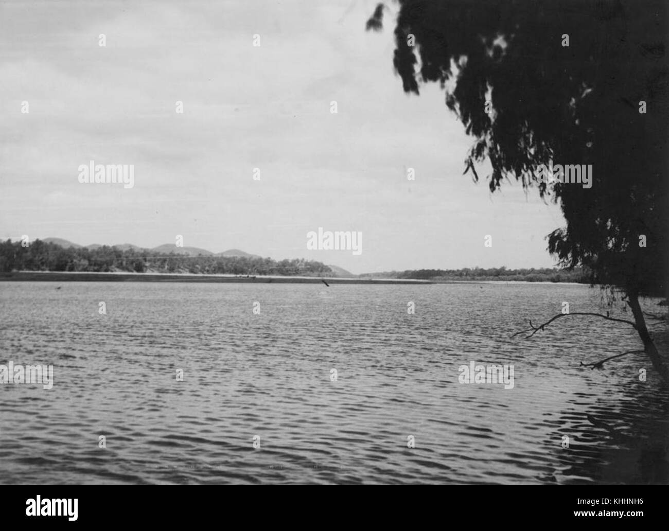 This aerial photograph, taken in 1949, shows the Burdekin River at its ...
