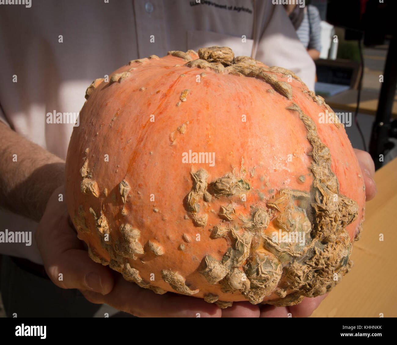 Peanut pick hi-res stock photography and images - Alamy