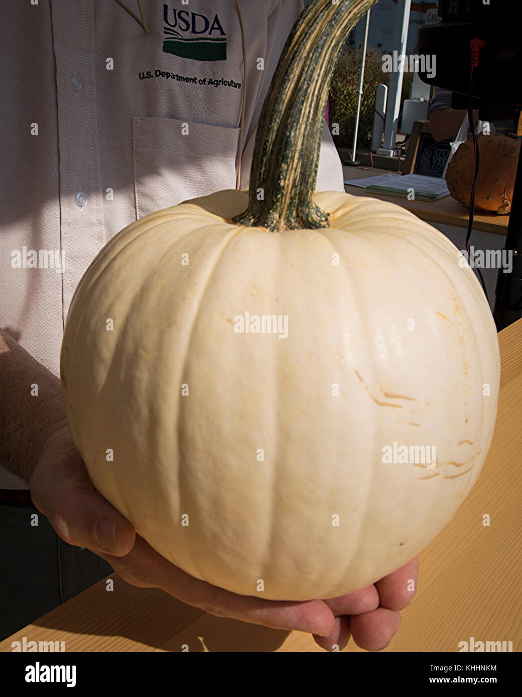 The white Sugar pumpkin at the U.S. Department of Agriculture (USDA ...