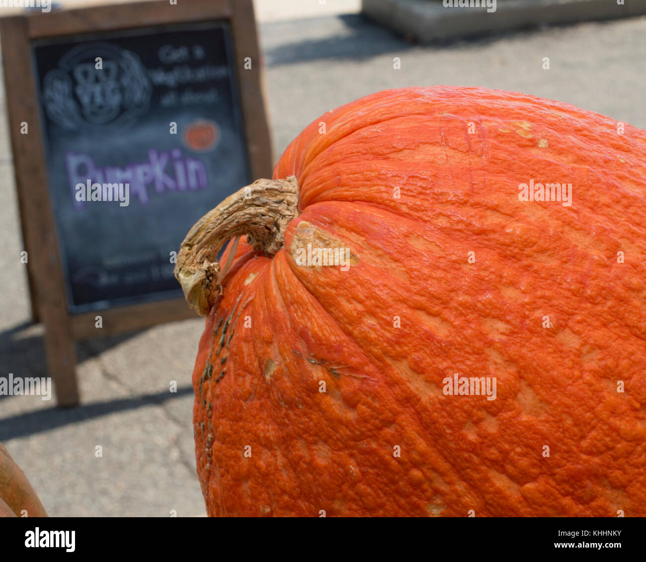 Red warty thing pumpkins hi-res stock photography and images - Alamy