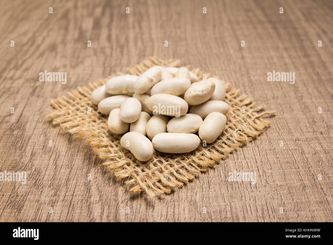 Phaseolus vulgaris is scientific name of Navy Bean legume. Also known ...