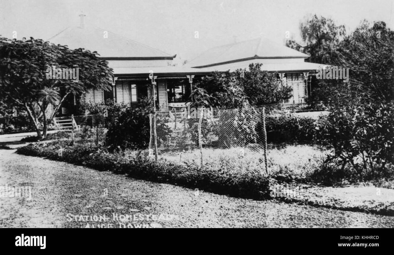 2 64103 Main homestead at Alice Downs Station, ca. 1920 Stock Photo - Alamy