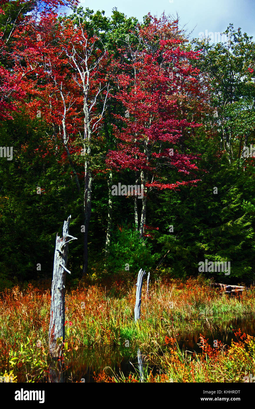 Fall in New England Stock Photo - Alamy