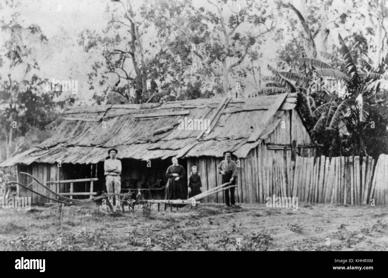 1 206577 Early slab hut residence in Queensland, ca. 1880 Stock Photo ...