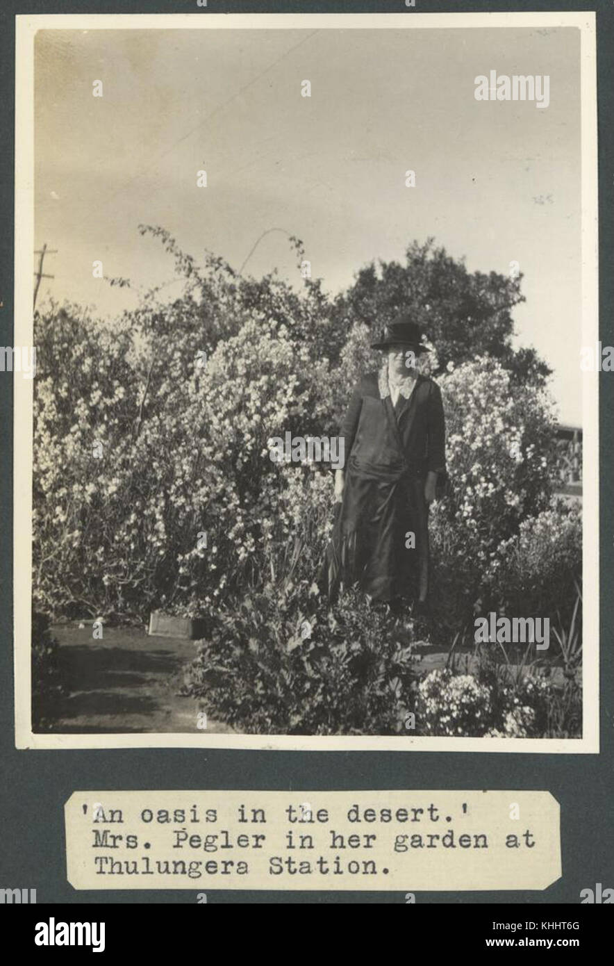 Pegler hi-res stock photography and images - Alamy