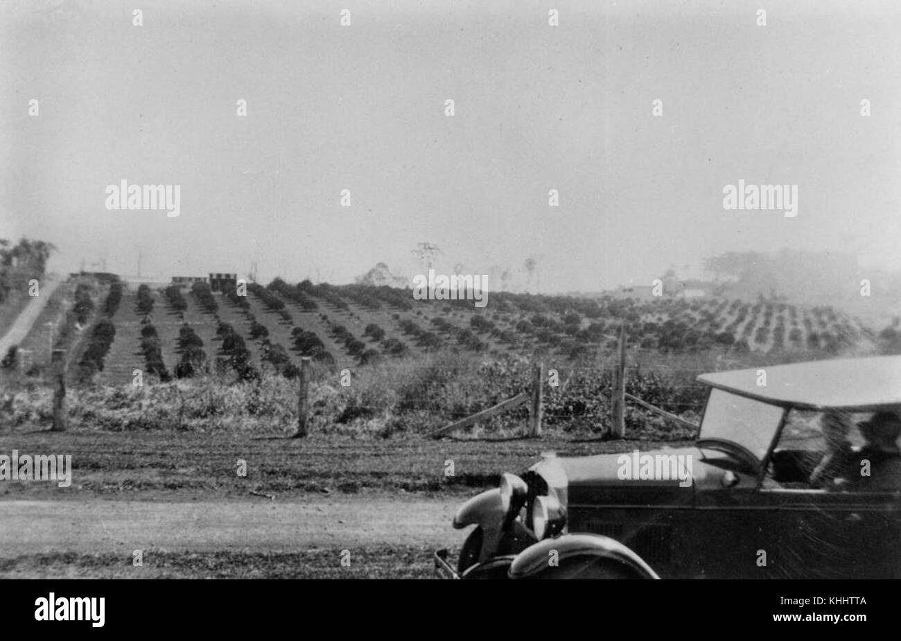 Rural orchards Black and White Stock Photos & Images - Alamy