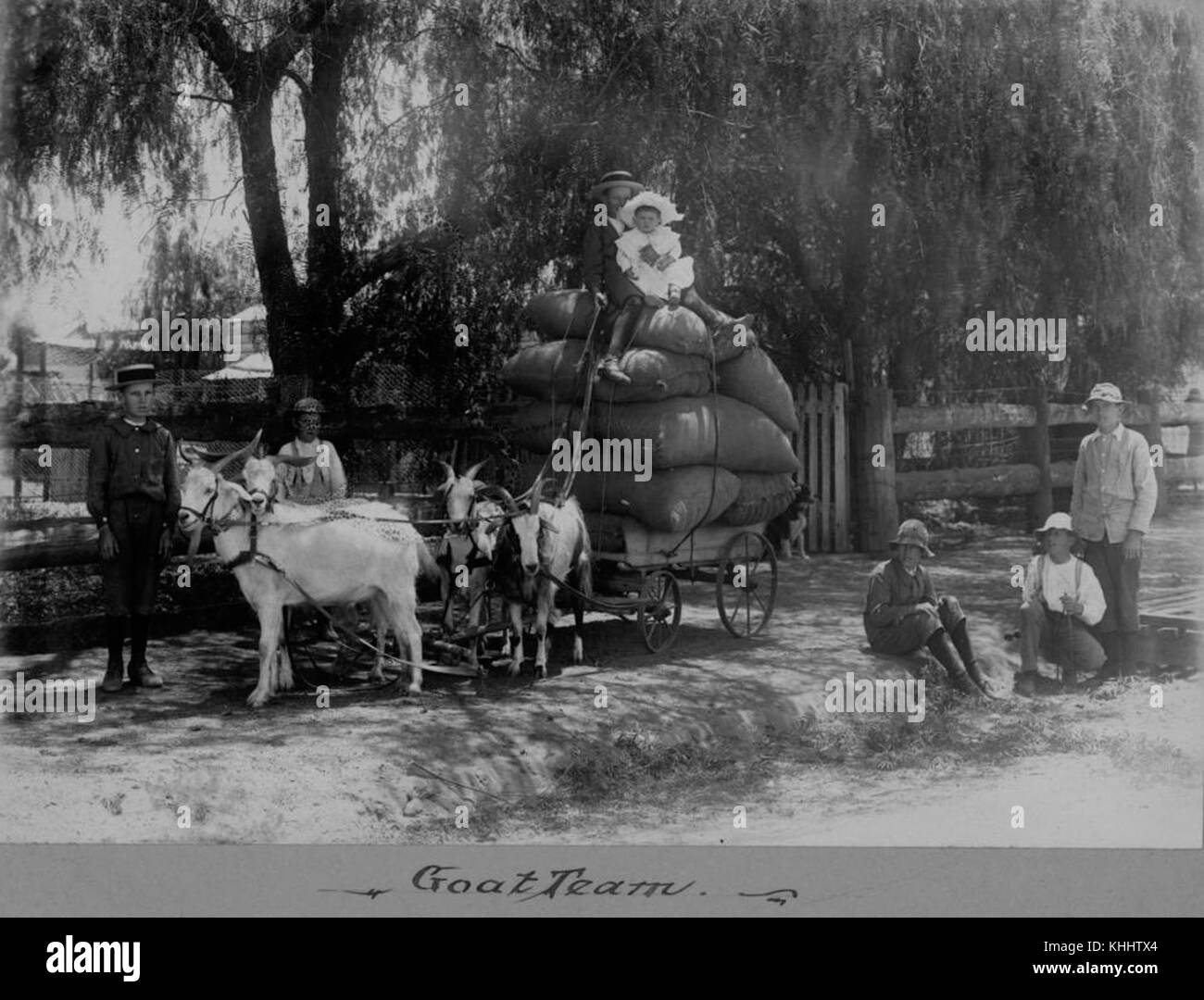 Pulling a heavy load Black and White Stock Photos & Images - Alamy