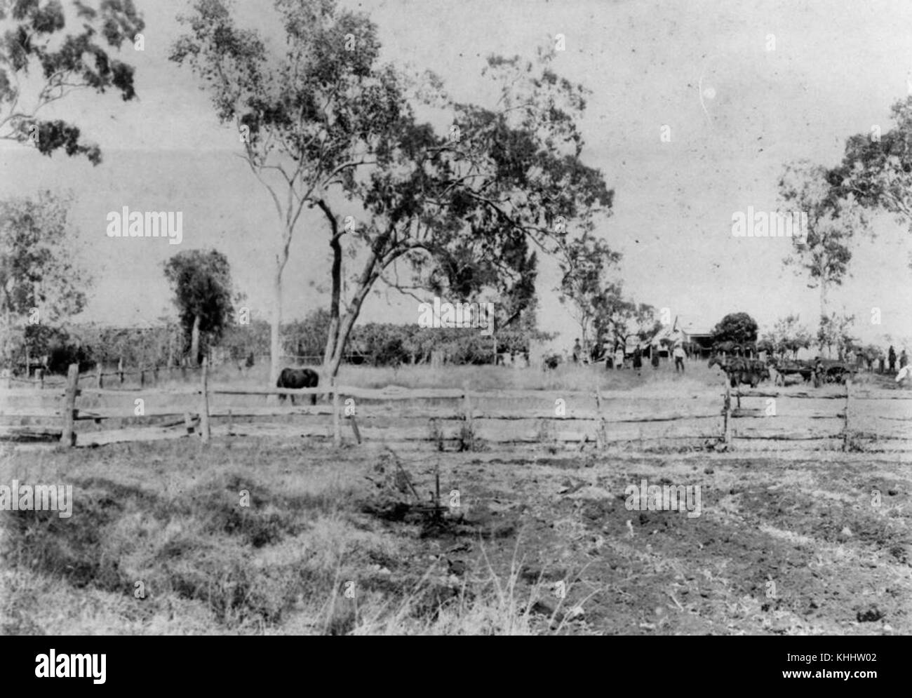 Cooktown Black and White Stock Photos & Images - Alamy