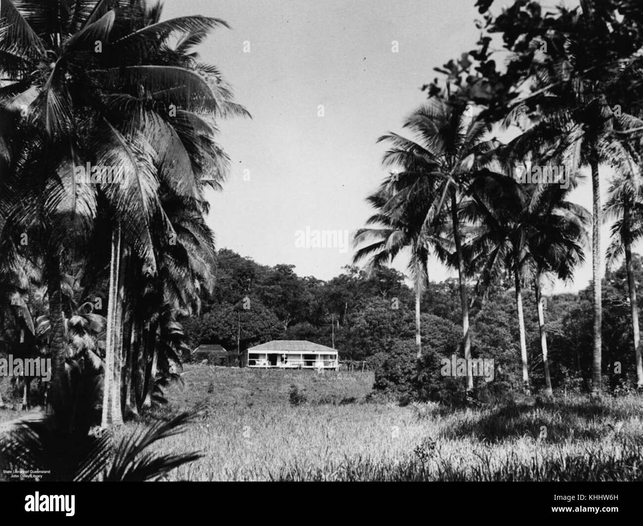 Banfield Black and White Stock Photos & Images - Alamy