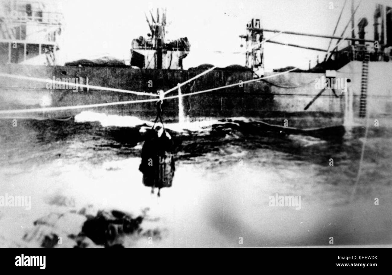 Kaponga hi-res stock photography and images - Alamy