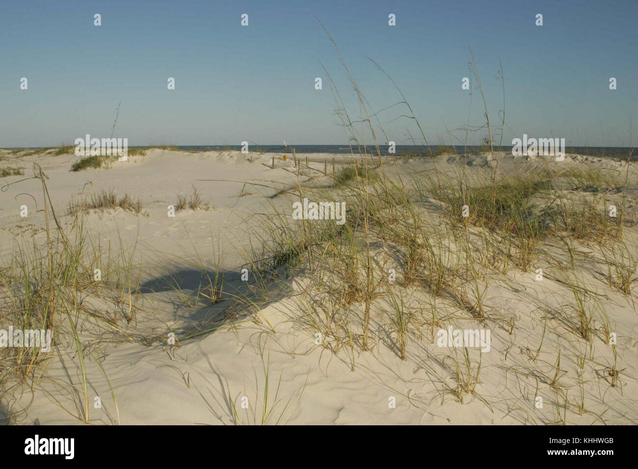 A natural setting by the beach Stock Photo - Alamy