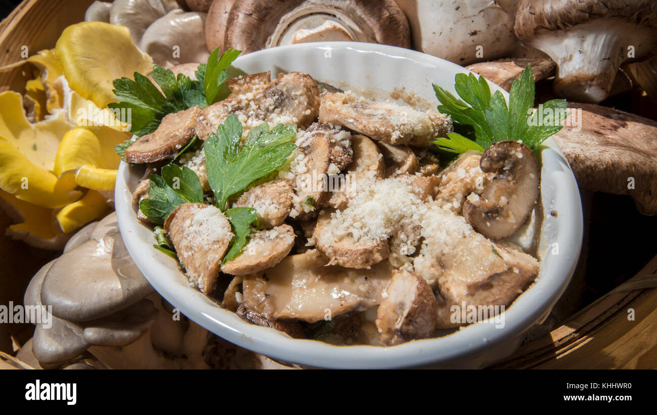 Dave santucci hi-res stock photography and images - Alamy