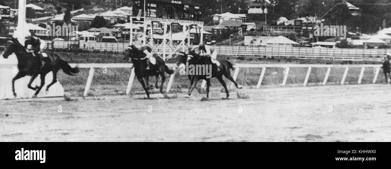 In 1930, Canning King was the first horse to finish at Albion Park ...