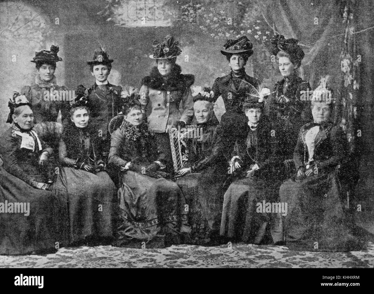 Lamington illustration hi-res stock photography and images - Alamy