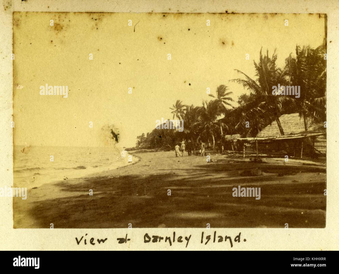 2 231228 View of the beach at Darnley Island, Torres Strait, 1899 Stock ...