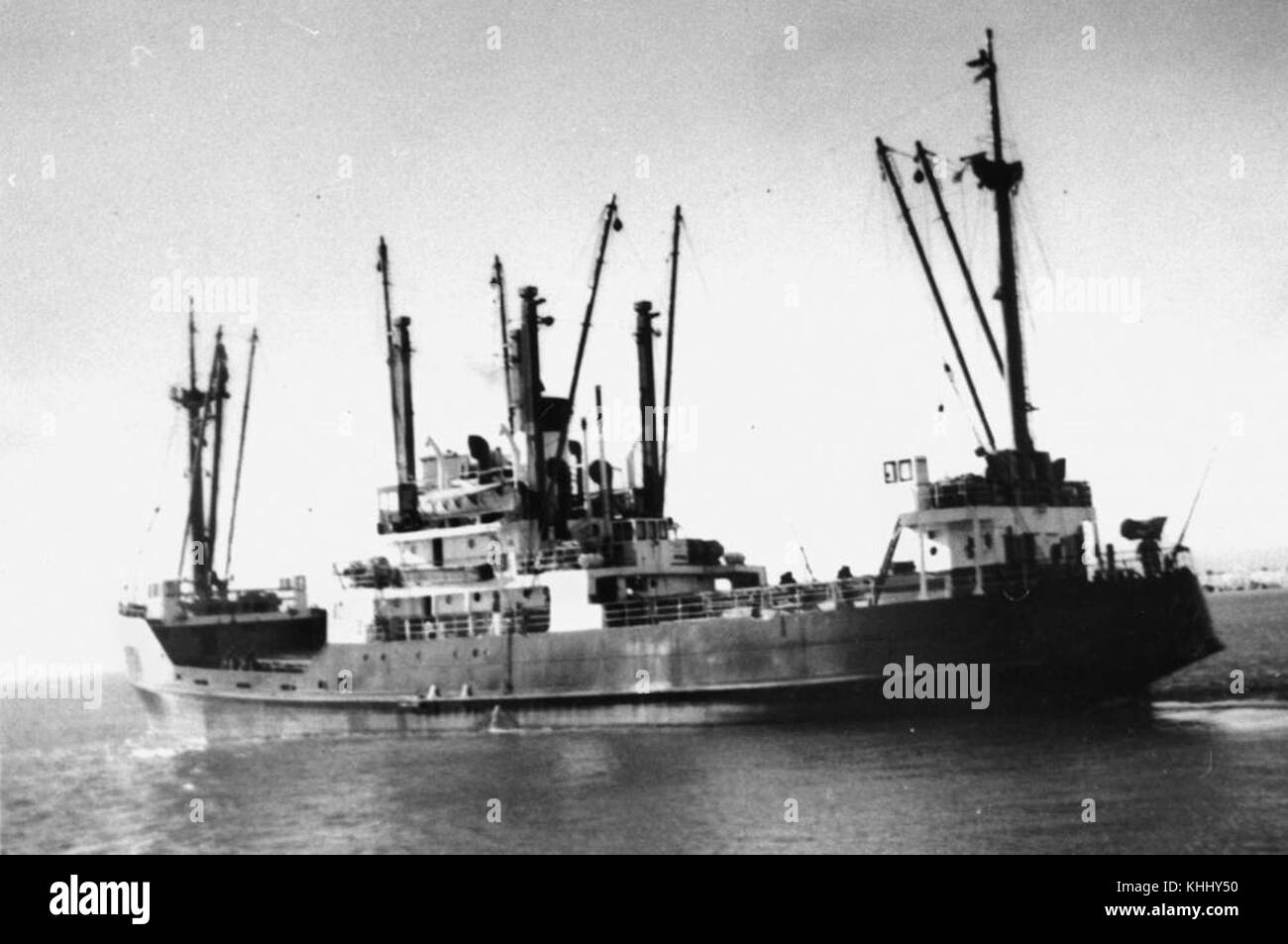 Puriri hi-res stock photography and images - Alamy