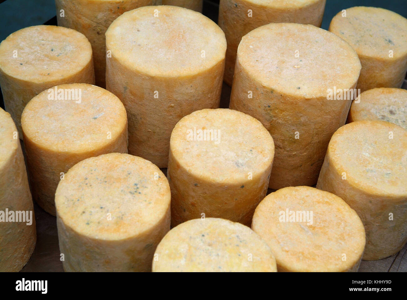 Karen Wright makes Campscott Organic Ewes Milk Cheese and Shetland wool ...