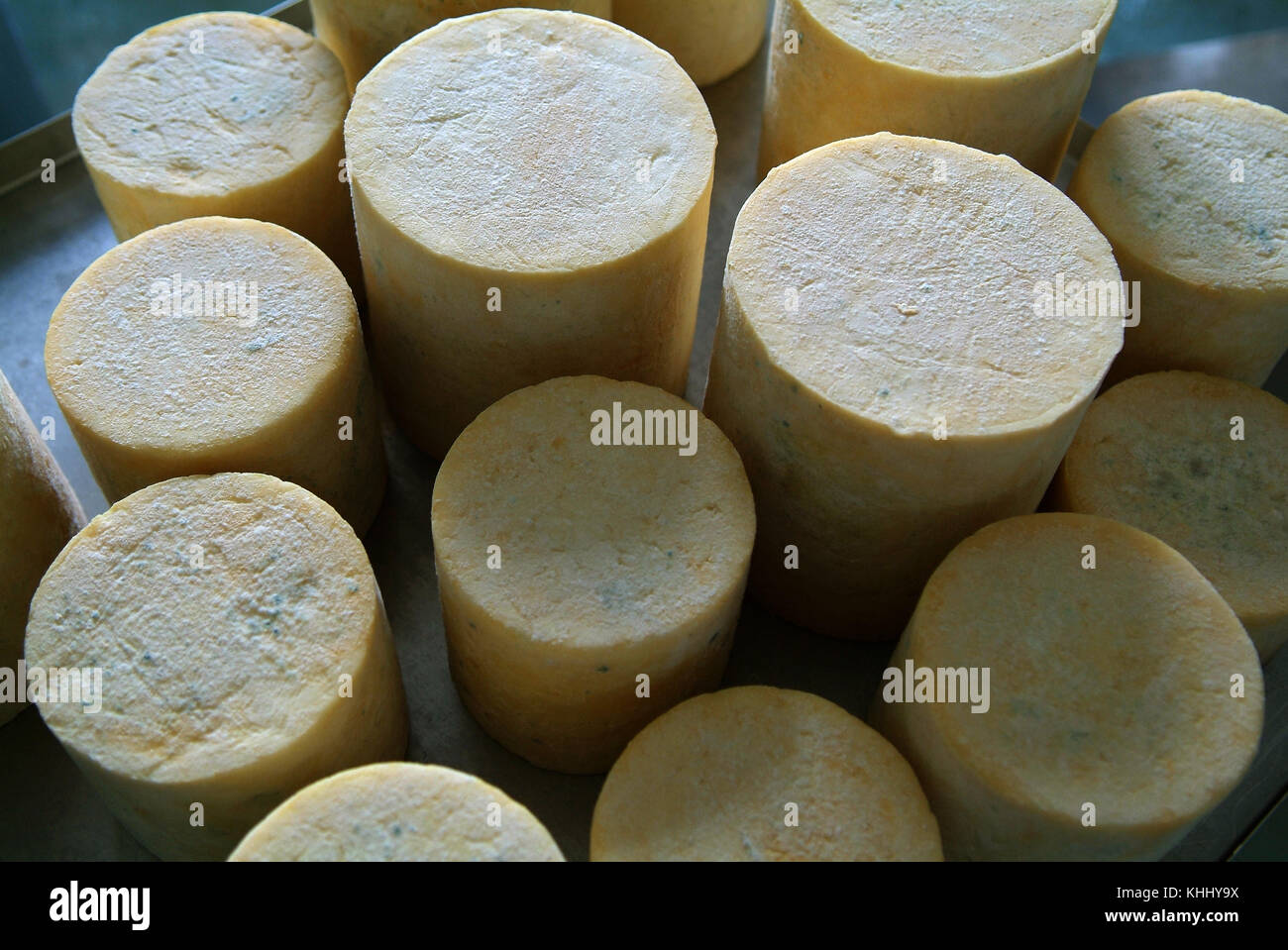 Campscott hi-res stock photography and images - Alamy