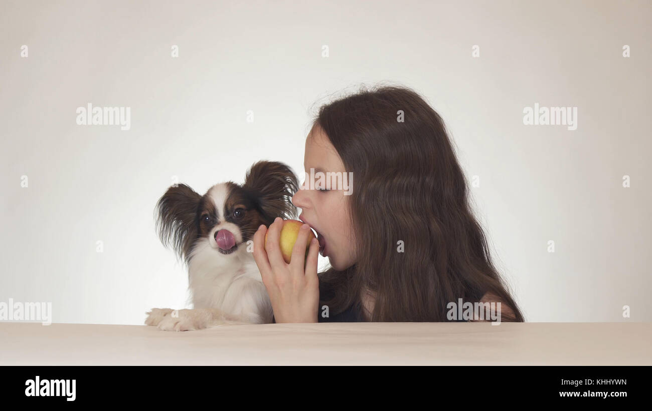 Beautiful teen girl and dog Continental Toy Spaniel Papillon eating ...