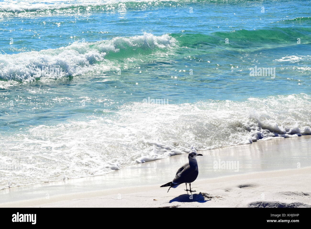 Clear sound waves hi-res stock photography and images - Alamy