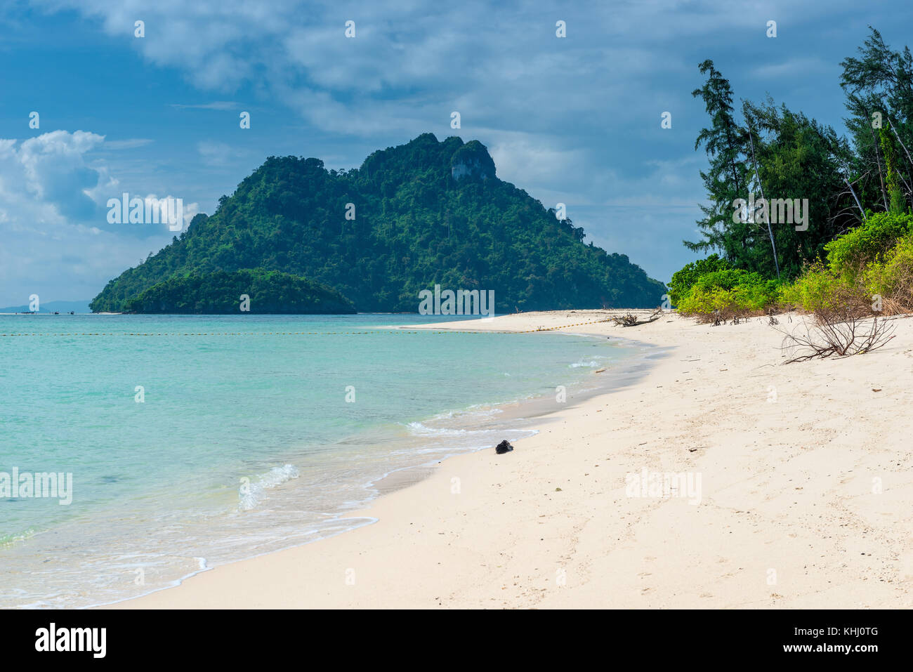 on an empty beach Pod island grows a tree Stock Photo - Alamy