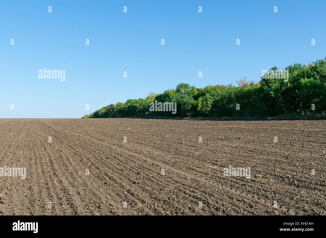 plowed field with trees and deep blue sky Stock Photo - Alamy