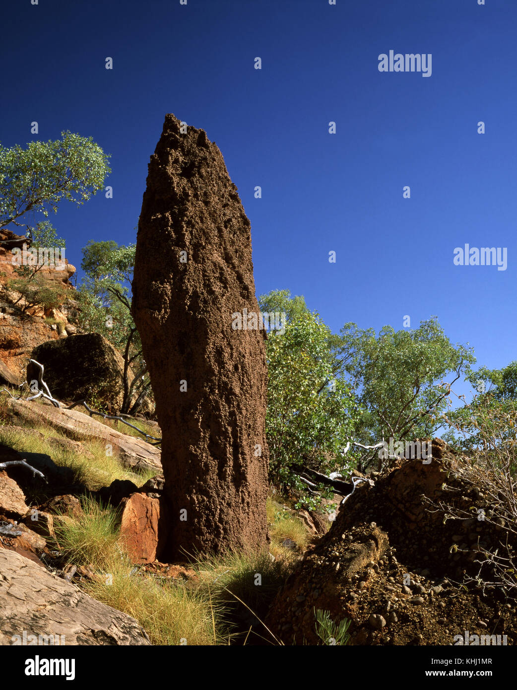 Termite mound, Boodjamulla (Lawn Hill ) National Park, Queensland ...