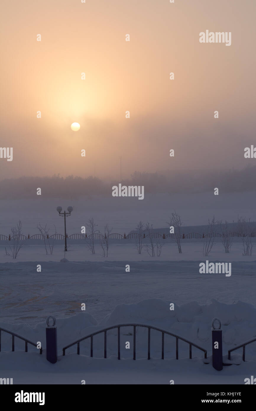 Winter Christmas landscape against a background of a frosty mist ...