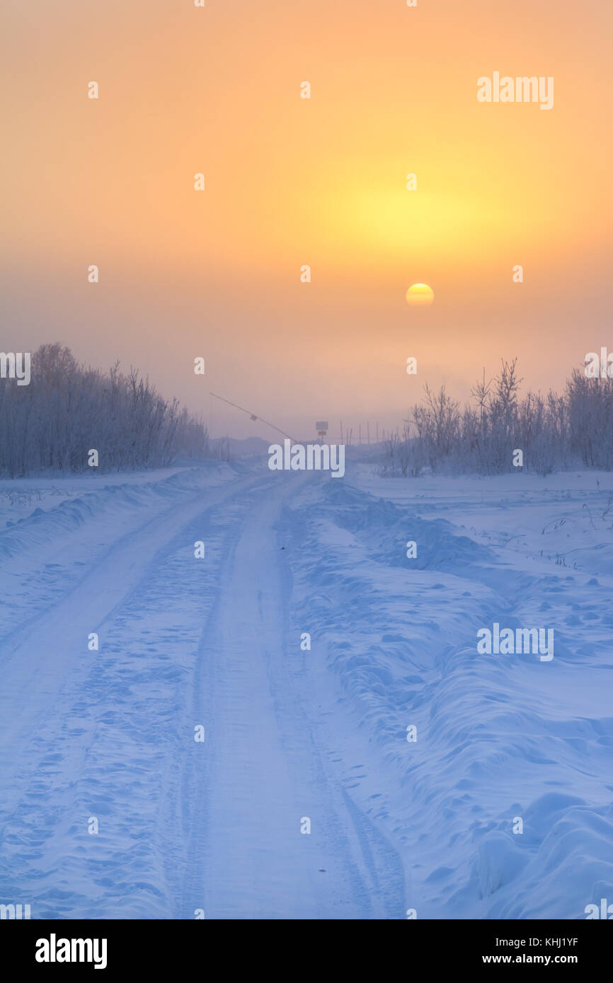 Winter Christmas landscape against a background of a frosty mist ...