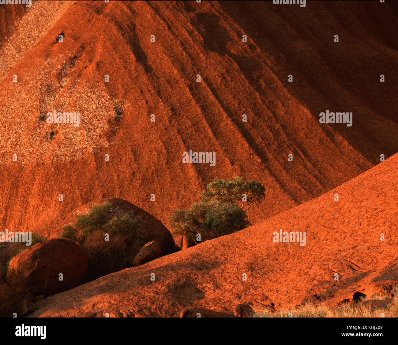Detail of rock surface of Uluru. Uluru-Kata Tjuta National Park ...