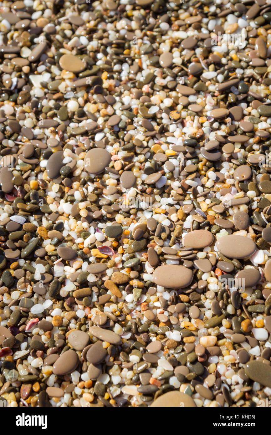 Sea stones on the seashore in the summer Stock Photo - Alamy
