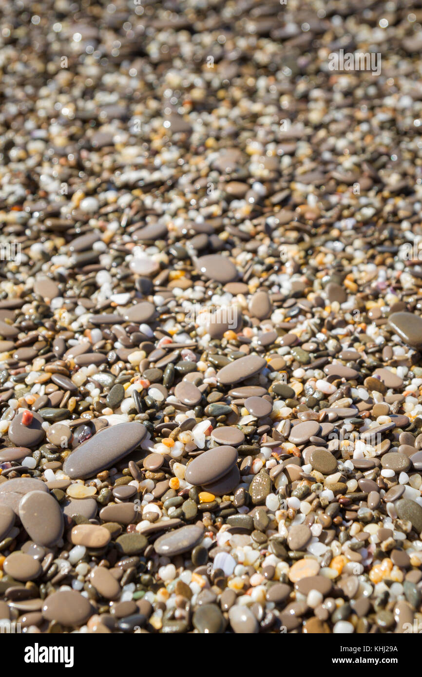 Sea stones on the seashore in the summer Stock Photo - Alamy