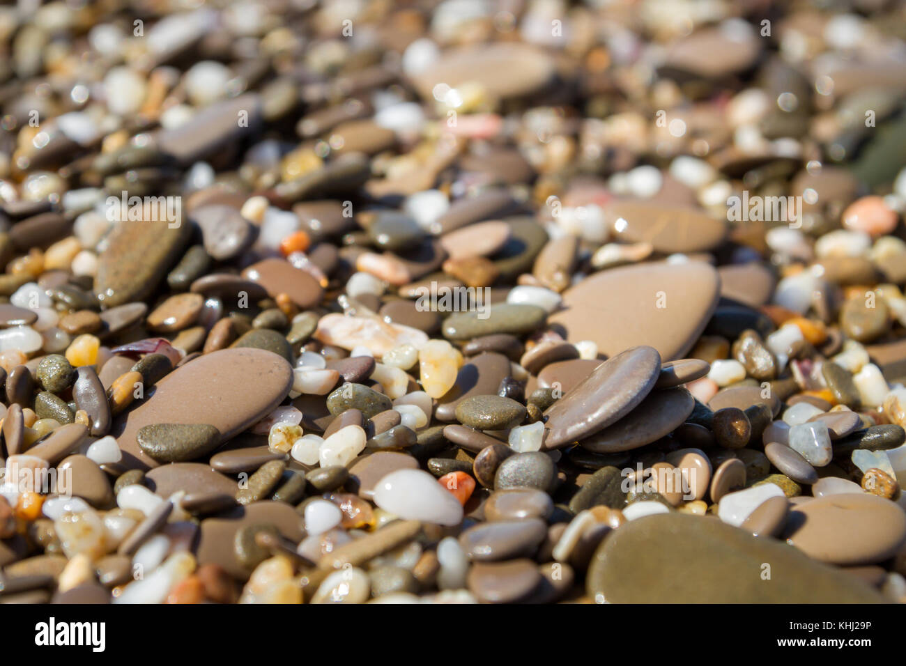 Sea stones on the seashore in the summer Stock Photo - Alamy