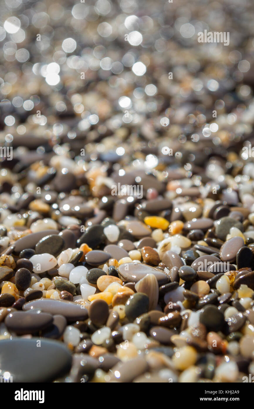 Sea stones on the seashore in the summer Stock Photo - Alamy
