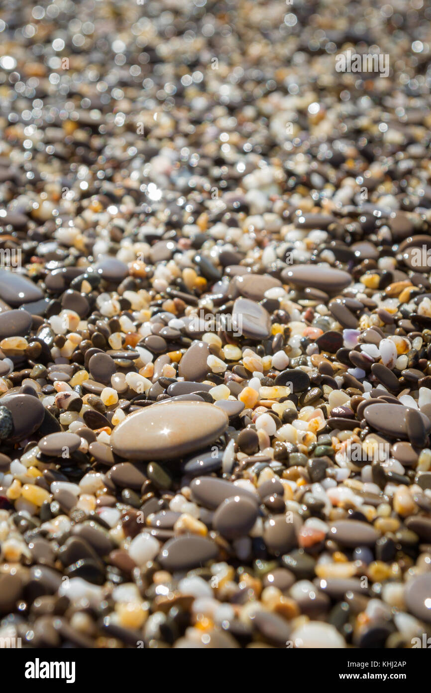 Sea stones on the seashore in the summer Stock Photo - Alamy