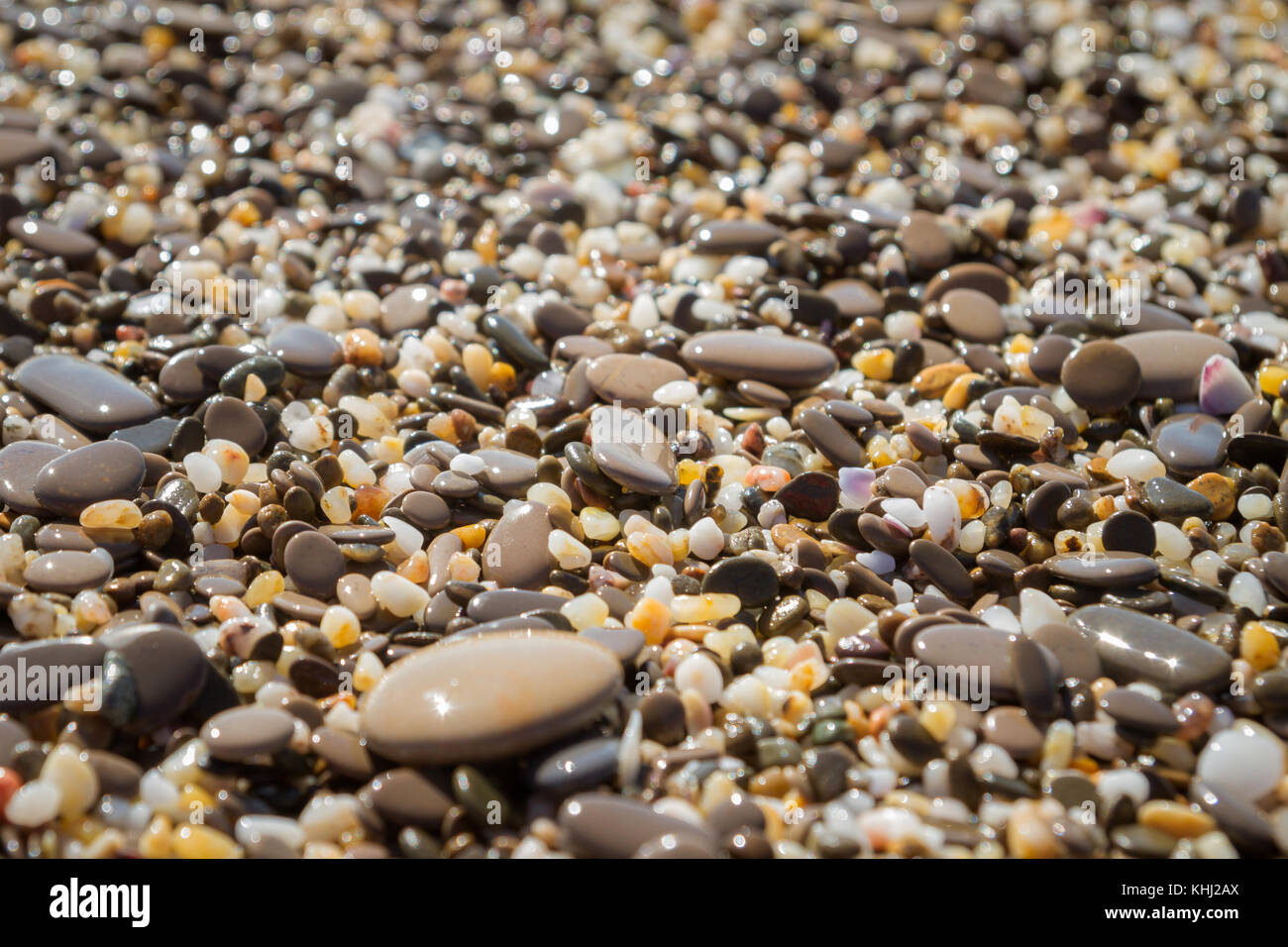 Sea stones on the seashore in the summer Stock Photo - Alamy