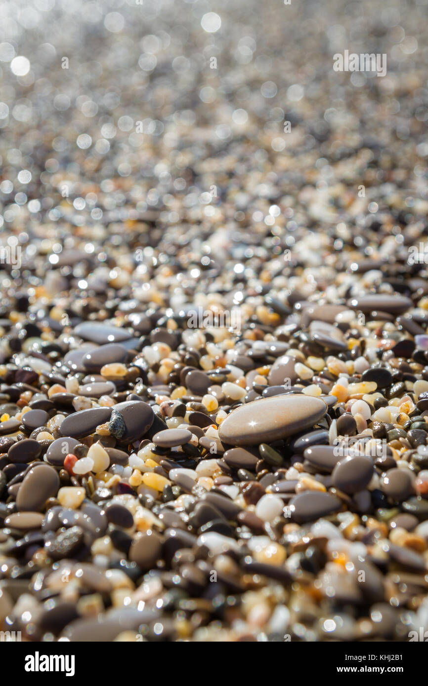 Sea stones on the seashore in the summer Stock Photo - Alamy