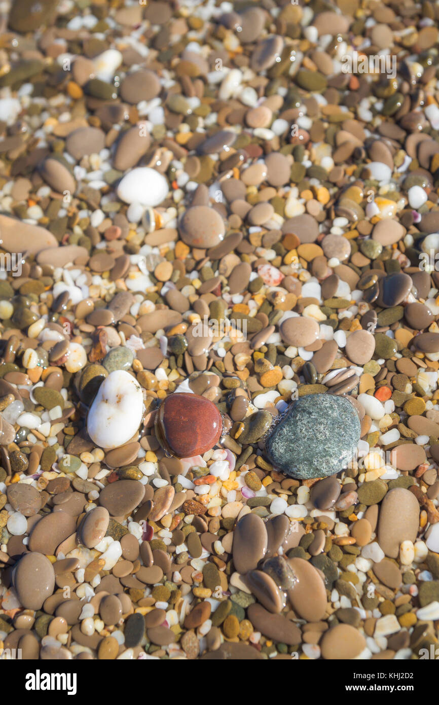 Sea stones on the seashore in the summer Stock Photo - Alamy