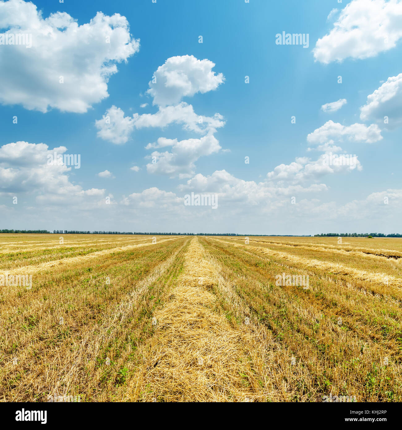 Straw Windrows High Resolution Stock Photography and Images - Alamy