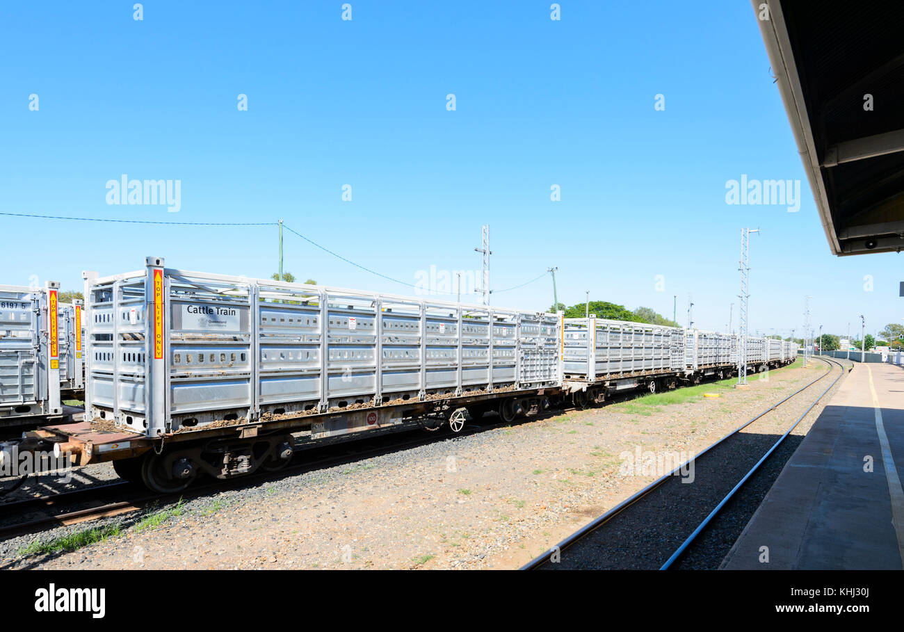 Modern cattle train on sidings at Emerald railway station, Central ...