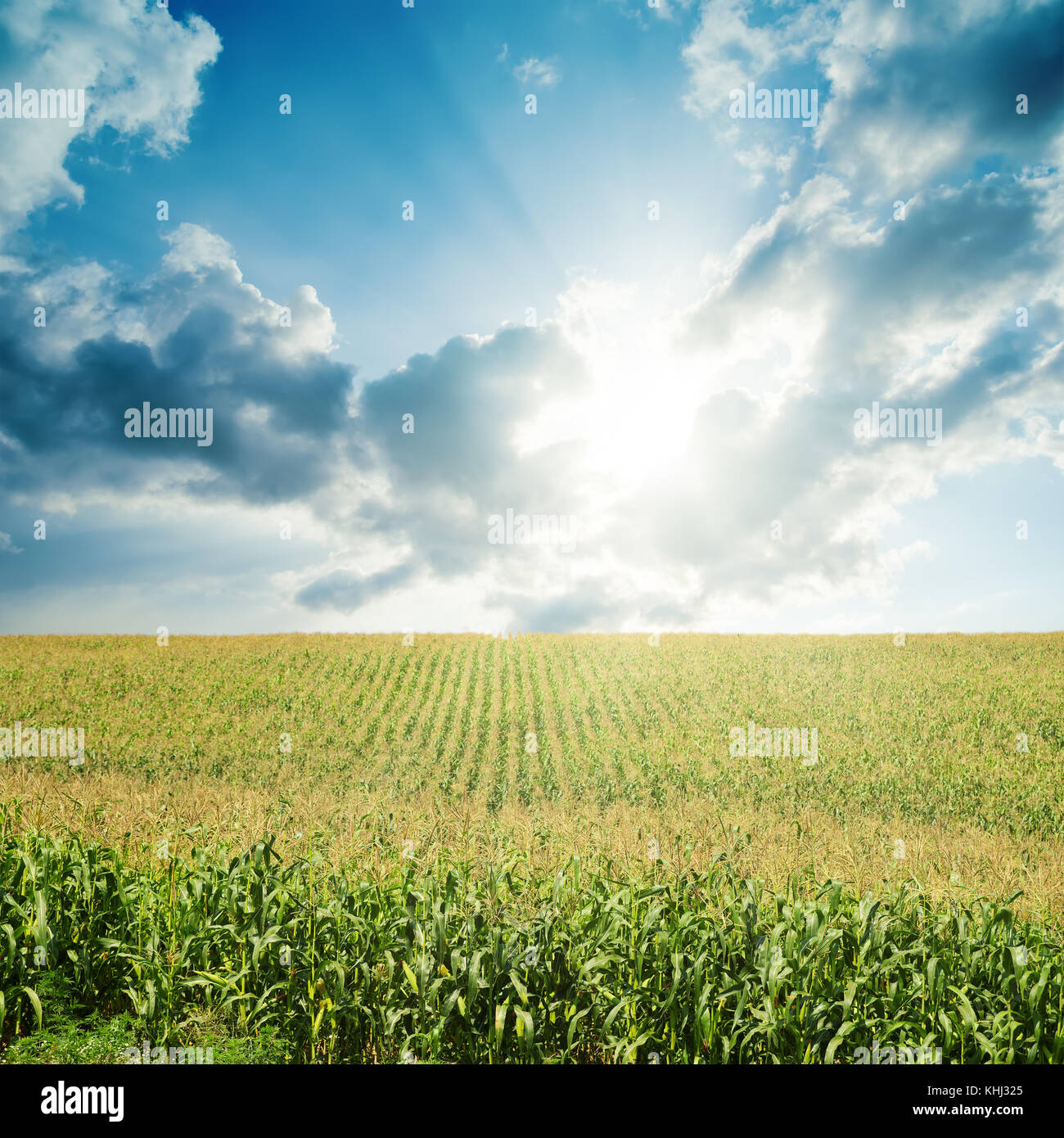 Darken clouds over spring hi-res stock photography and images - Alamy