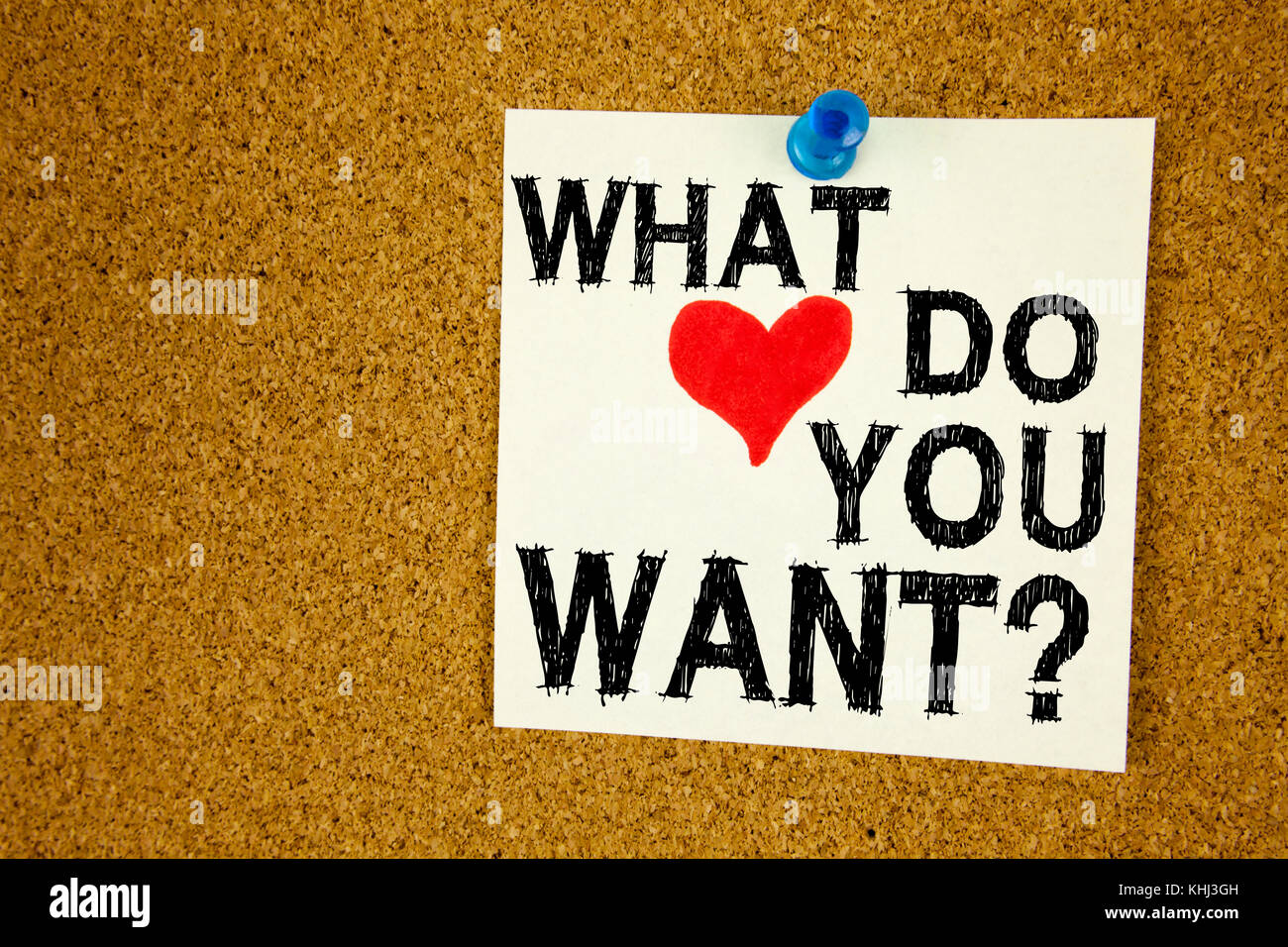 Conceptual hand writing text caption inspiration showing What Do You ...