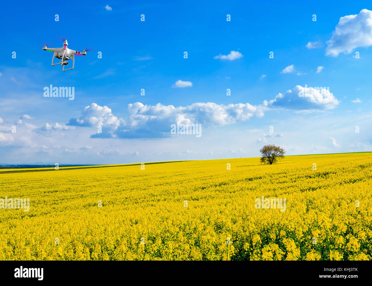 Propeller seed hi-res stock photography and images - Alamy
