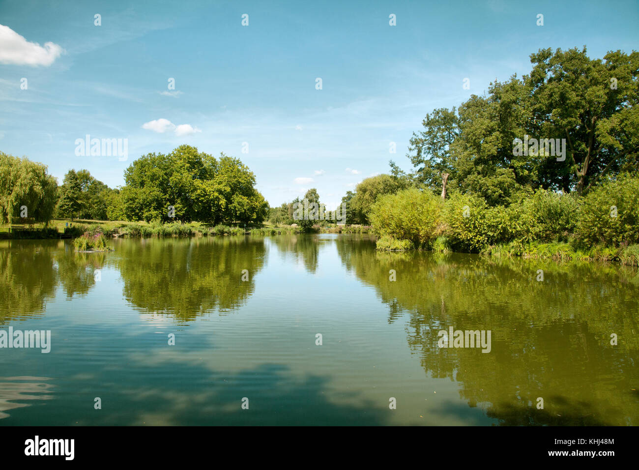 Pond Reflection at Clapham Common - London UK Stock Photo - Alamy
