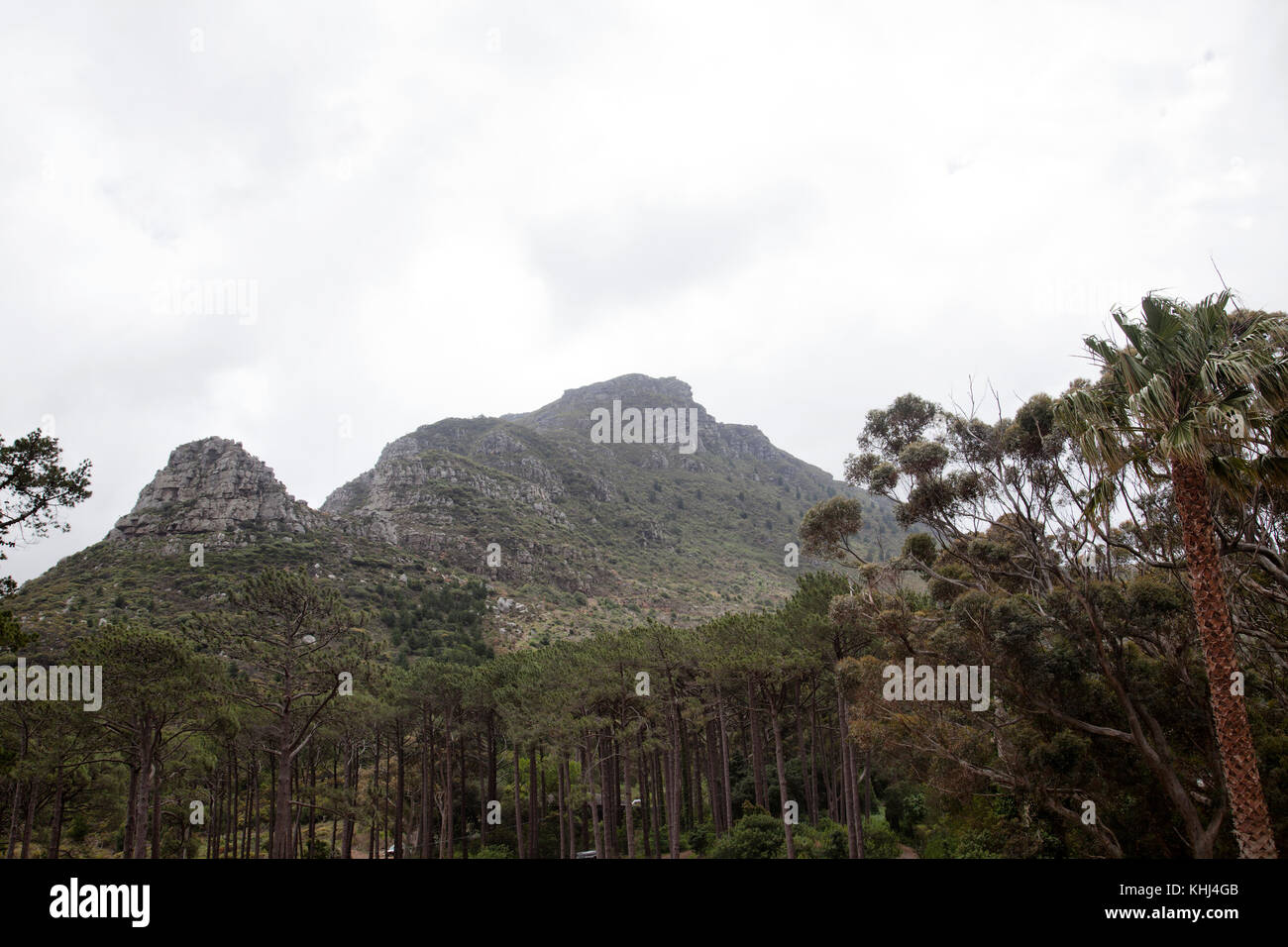 Views of Table Mountain from Constantia Nek in Cape Town - South Africa ...