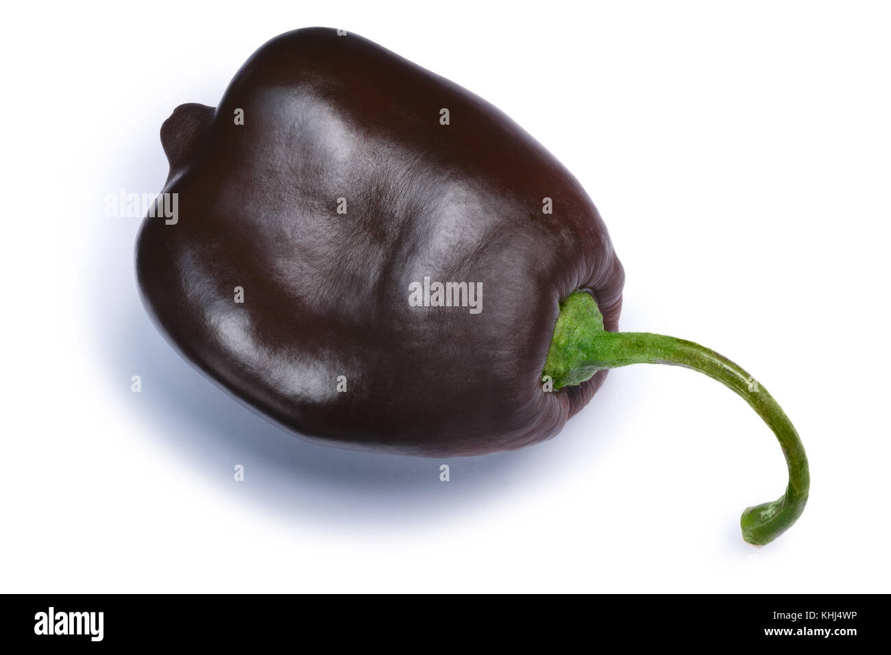 Brown Rocoto chile pepper (Capsicum pubescens). Clipping paths, top ...