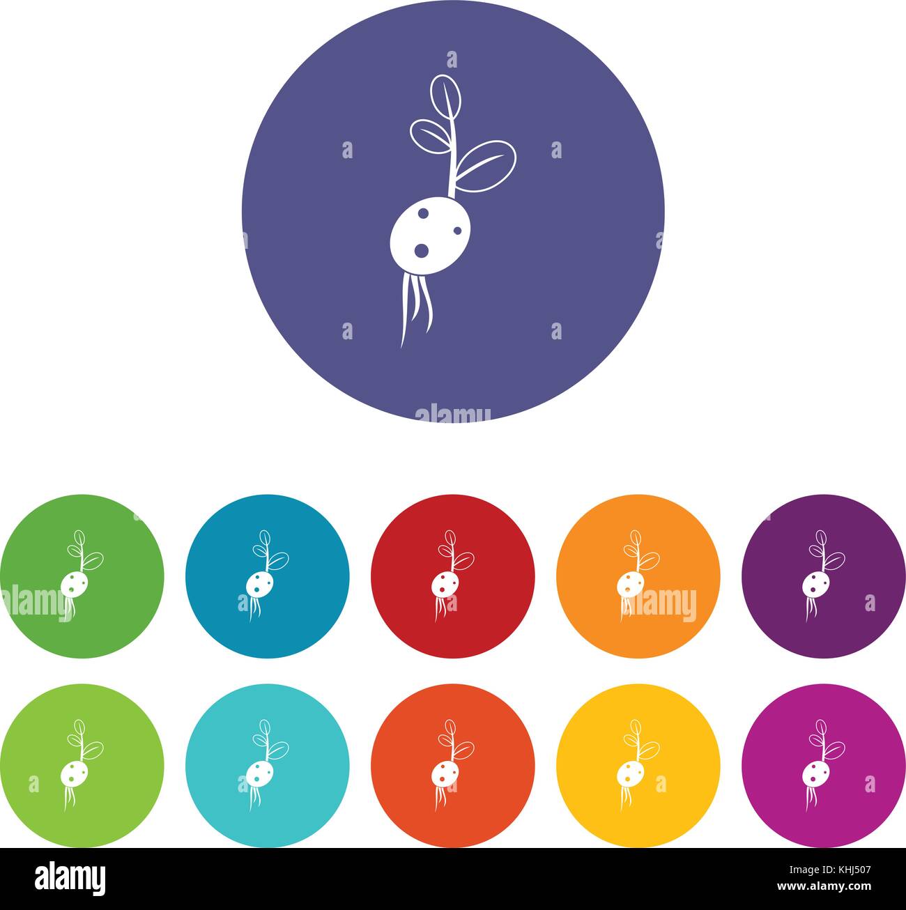 Potato sprout from the root set icons Stock Vector Image & Art - Alamy